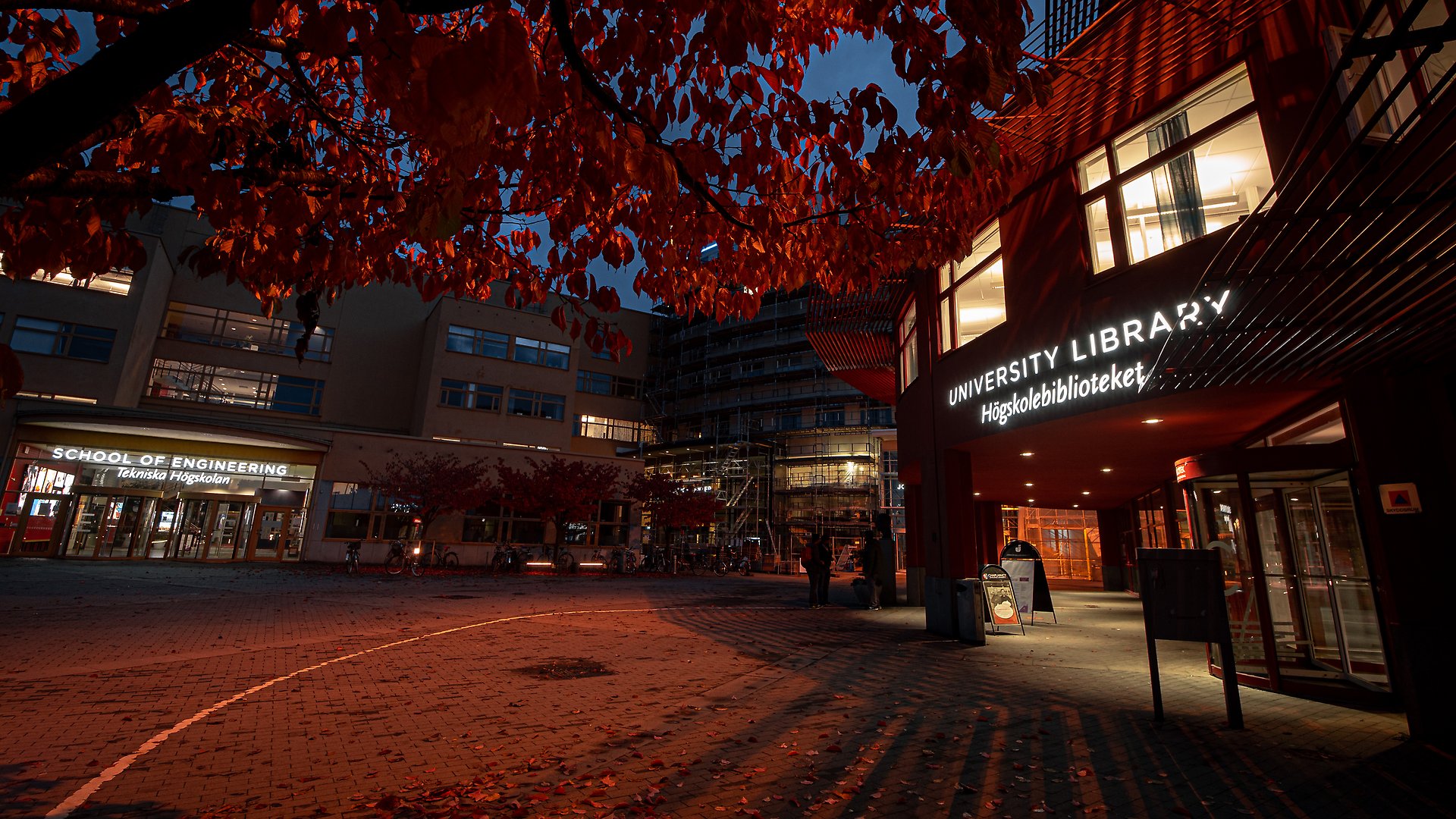 Late night at the library - About the library - University Library